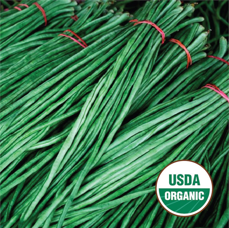 Yard Long Bean – North Circle Seeds