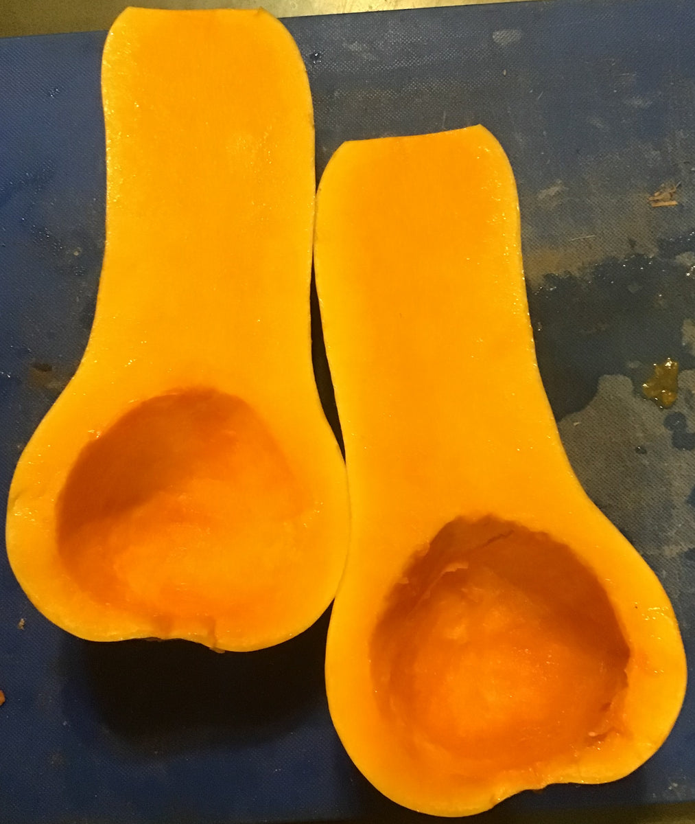 North Circle Butternut – North Circle Seeds