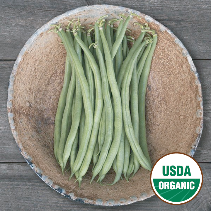 Jade – North Circle Seeds