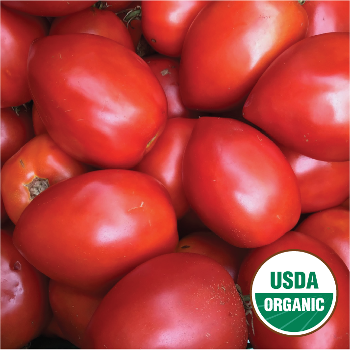 Maria Nagy – North Circle Seeds