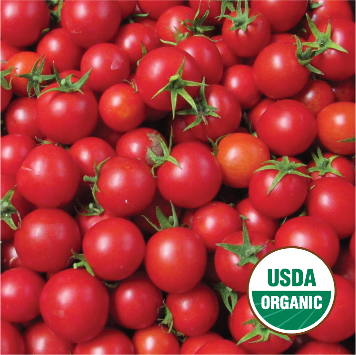 Punta Banda – North Circle Seeds